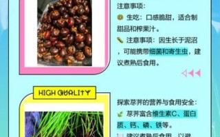 菩荠和荸荠有什么区别_哪个才是马蹄