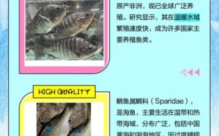 花雕鱼和罗非鱼的区别_花雕鱼是罗非鱼吗