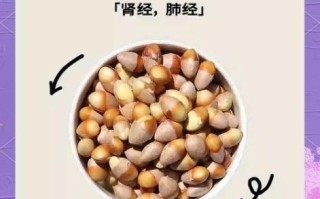 吃白果有什么好处_白果吃多了有什么坏处 吃白果有什么好处_白果吃多了有什么坏处