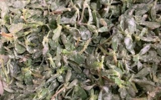 马扎菜的功效与作用_马扎菜怎么吃效果最好