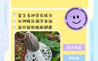 竹荪不适宜人群有哪些_竹荪哪些人不能吃