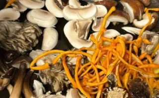 家常蘑菇汤怎么做_蘑菇汤简单做法