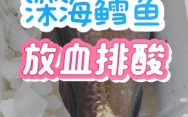 鳕鱼价格多少钱一斤_鳕鱼价格为什么波动大