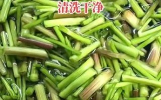 野水芹菜怎么炒好吃_野水芹菜做法大全