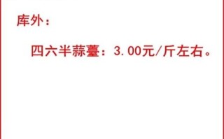金乡大蒜下午价格_今日行情多少钱一斤