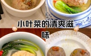 蟹粉狮子头怎么做_正宗蟹粉狮子头做法视频