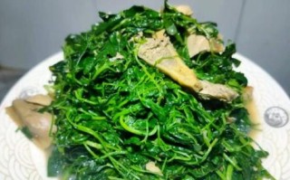 金花菜怎么炒好吃_金花菜的做法步骤