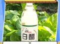白醋能杀菌吗_白醋怎么使用