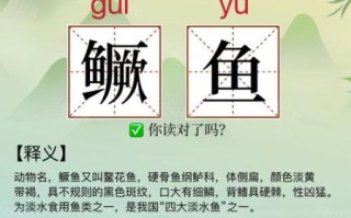 桃花流水鳜鱼肥怎么读_鳜鱼肥的正确读音