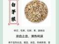 白茅根煮水禁忌有哪些_白茅根泡水喝的副作用