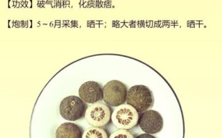 枳壳和枳实的功效区别_哪个更适合调理脾胃