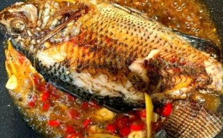 红烧罗非鱼怎么做好吃_红烧罗非鱼的做法窍门