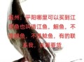 鮰鱼和清江鱼哪个贵_鮰鱼清江鱼价格对比