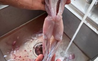 牛蛙怎么杀图解_牛蛙宰杀步骤