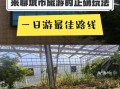 莘县有什么好玩的_莘县一日游最佳路线
