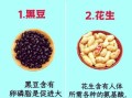 吃什么补脑增强记忆力_学生补脑食物有哪些