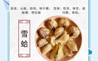 雪蛤的禁忌人群有哪些_雪蛤不能和什么一起吃