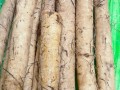 牛蒡长什么样_牛蒡和山药的区别