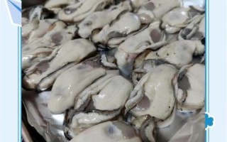 烤生蚝烤箱温度时间_烤生蚝烤箱做法步骤