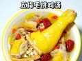 五指毛桃煲鸡汤配什么药材_五指毛桃煲鸡汤最佳药材搭配