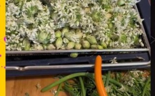 韭菜花怎么做好吃_韭菜花酱做法大全
