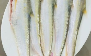 长江刀鱼价格2020多少钱一斤_2020年刀鱼行情为何暴跌