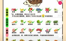 刺猬吃什么_刺猬可以吃什么食物
