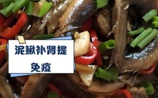 泥鳅怎么吃壮阳_泥鳅壮阳的正确吃法