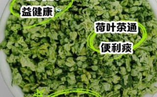 荷叶茶一周瘦20斤_真的假的