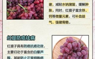 进口红提的功效与作用_进口红提营养价值高吗