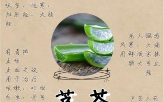 芦荟能吃吗_芦荟怎么吃才安全