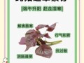 紫苏叶的功效与作用_紫苏叶怎么吃最好