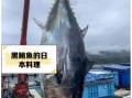 黑鲔鱼价格多少钱一斤_黑鲔鱼为什么这么贵