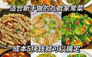 新手如何学做菜_学做菜网站哪个好