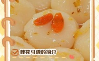 炒马蹄的做法大全_马蹄怎么炒才脆甜