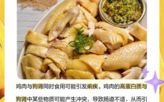 鸡肉不能和什么一起吃_鸡肉最佳搭配食物