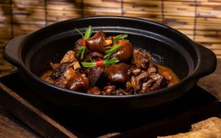 羊肉煲的做法大全_羊肉煲的家常做法窍门