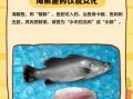 海桂鱼多少钱一斤_海桂鱼怎么做好吃