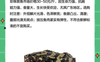 珍珠斑鱼多少钱一斤_珍珠斑鱼怎么做好吃