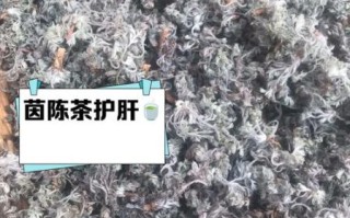 茵陈的功效与作用_茵陈泡水喝有什么禁忌