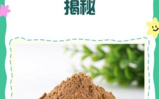 丹参粉什么人不能吃_丹参粉禁忌人群