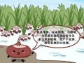 马蹄的拼音是什么_马蹄拼音怎么读
