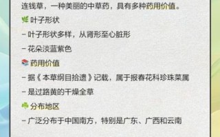 连钱草图片长什么样_如何辨别真假连钱草