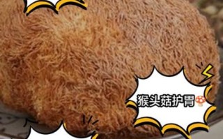 吃猴头菇中毒的症状_猴头菇中毒怎么办