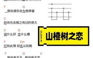 山楂树之恋主题曲谁唱的_山楂树之恋主题曲歌词含义