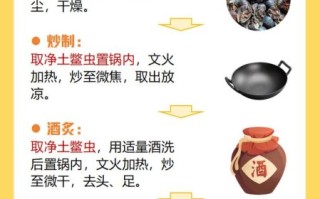 土鳖虫的功效与作用_土鳖虫怎么吃效果最好