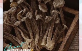 鹿茸对女人有什么好处_女人吃鹿茸多久见效