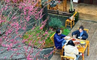 青城山白果炖鸡怎么做_白果炖鸡正宗做法