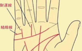 看手就知道_手相能看出什么