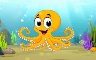 章鱼图片可爱_为什么章鱼这么萌